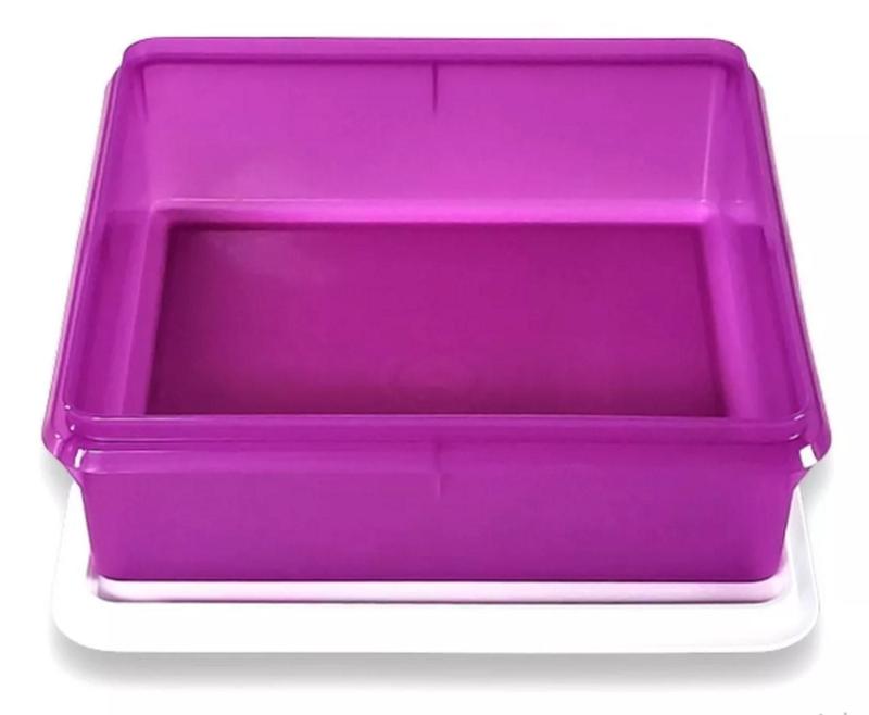 Pote Tupperware 2,5l Organização Da Geladeira - Roxo - Pote - Magazine ...