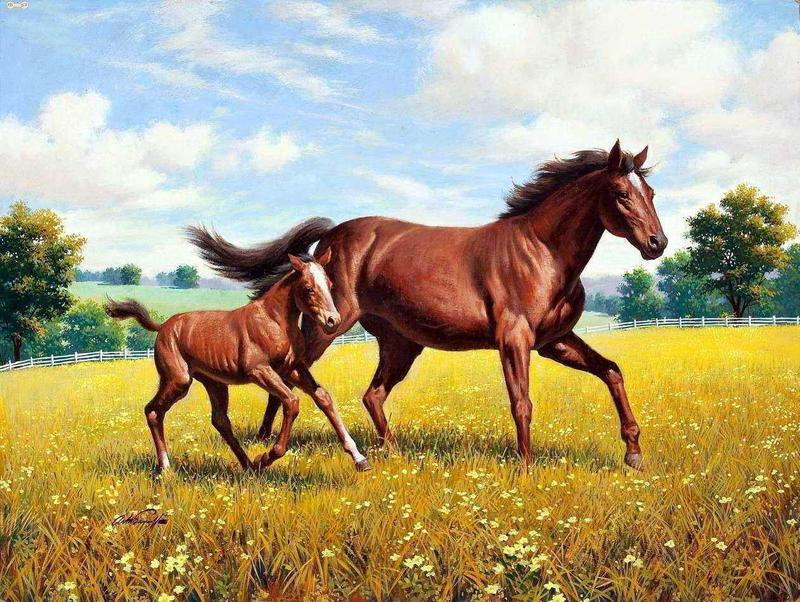 Primeira Corrida - Arthur Sarnoff - 50x66 - Tela Canvas Para Quadro ...