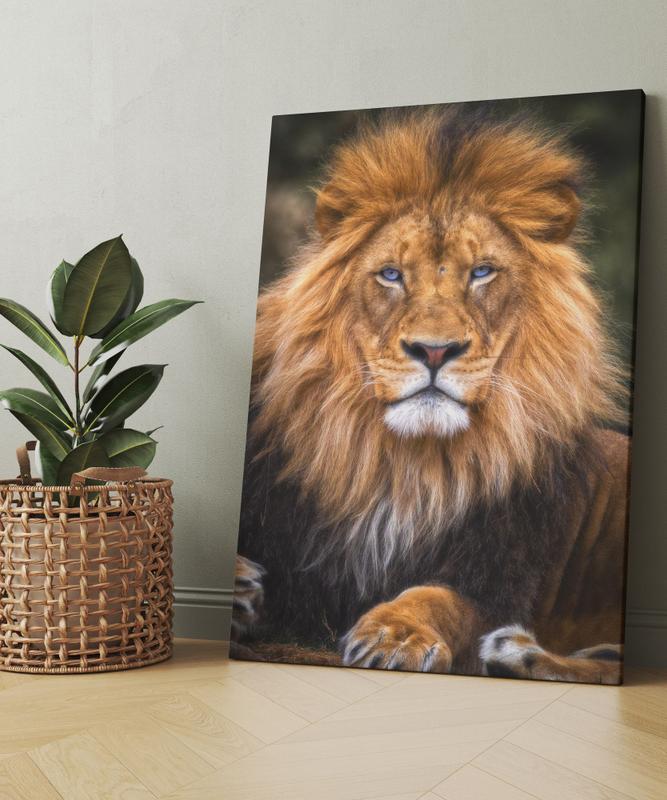 Quadro Canvas Rosto de Leão - 1001ideias - Quadro Decorativo - Magazine Luiza