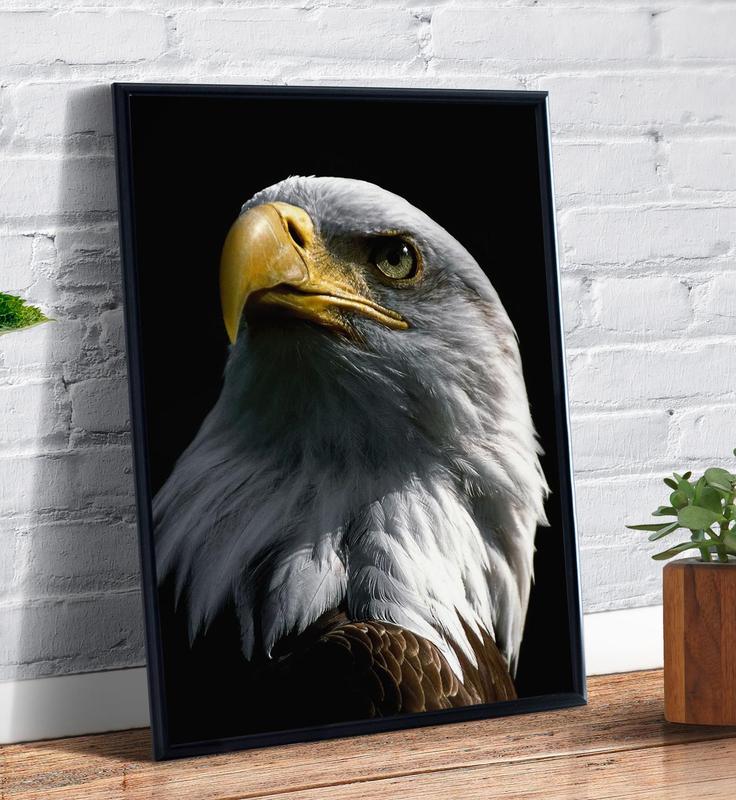 Quadro Decorativo Aguia Careca Animais Fundo Preto - Tribos - Quadro ...