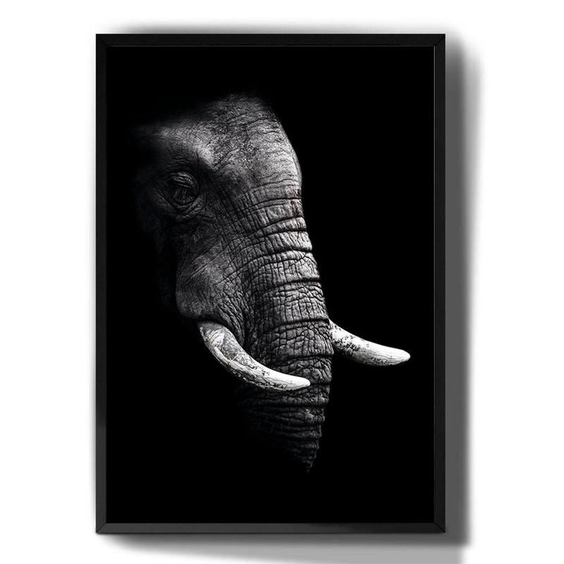 Quadro Decorativo Elefante Tumblr Animais Fundo Preto - Tribos - Quadro ...