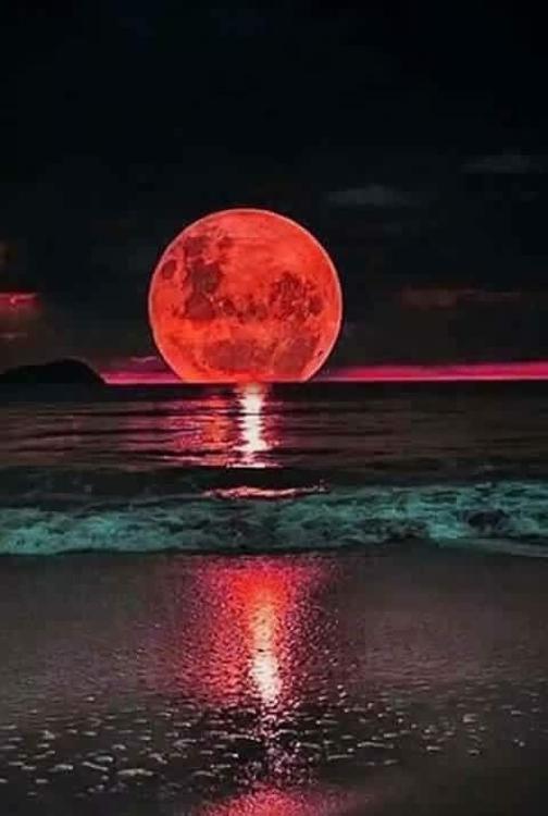 Quadro Lua Vermelha Na Praia - Ki Art Quadros Decorativos - Quadro ...
