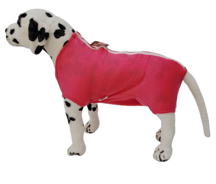 Roupa pós cirúrgica pet Tam. 07 - King Of Pets - Pós Cirúrgica para ...