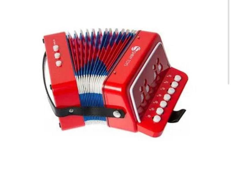 Sanfona Infantil Acordeon Pequeno Crianças Educativo Forte - catcomece ...