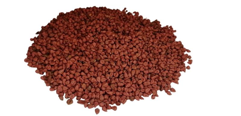 Semente de urucum - 500 gramas - los temperados - Sementes - Magazine Luiza