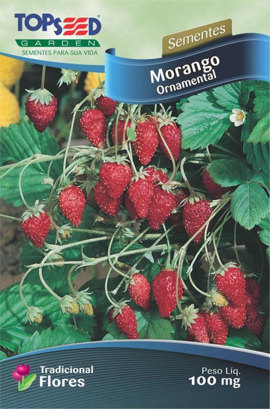 Semente Hortaliças Morango Ornamental com 20 - Comprenet - Sementes ...