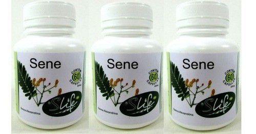 Sene Em 60 Capsulas De 500 Mg Kit 3 Potes - SLife - Fitoterápicos e ...