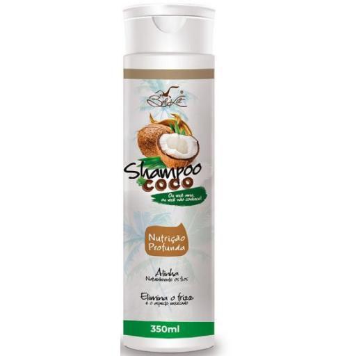 Shampoo Coco Nutrição Capilar Profunda Belkit 350 Ml - Shampoo ...