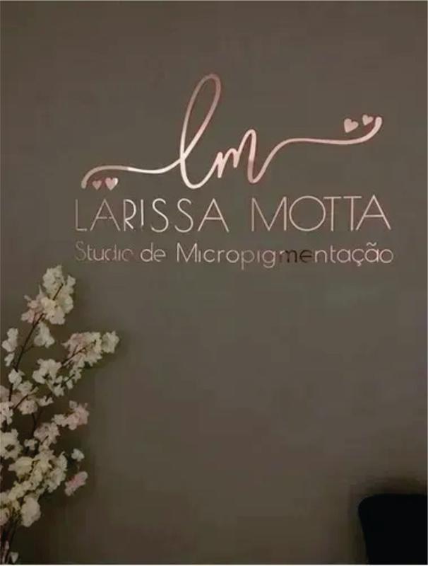 Sua Logo Em Acrílico Espelhado 60x20 - Silk plac - Palavra Decorativa ...
