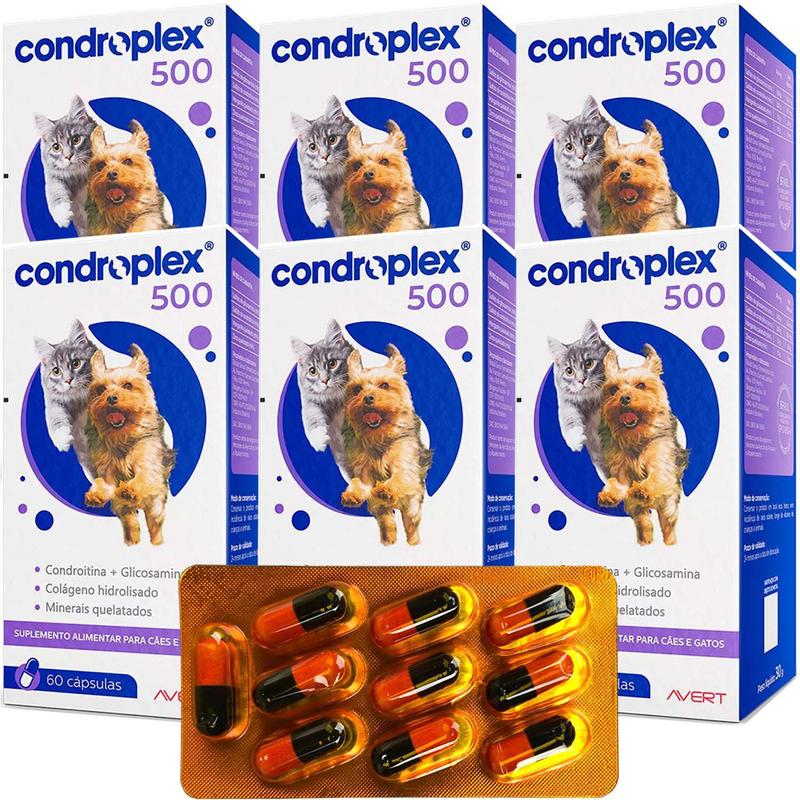 Suplemento Alimentar Condroplex 500 Cães Gatos 360 Cápsulas Avert ...