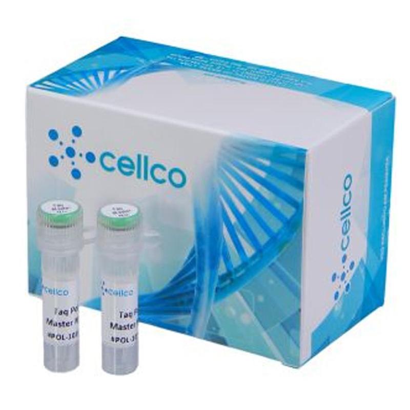 TAE 10x Electrophoresis buffer L Pack (1L) - Cellco - Leite - Magazine ...