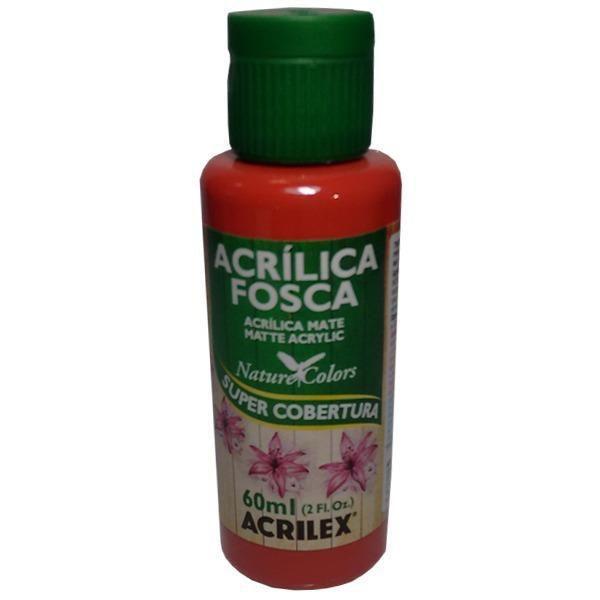 Tinta Acrílica Acrilex - Goiaba Queimada - Fosca 60Ml - Tinta Acrílica ...