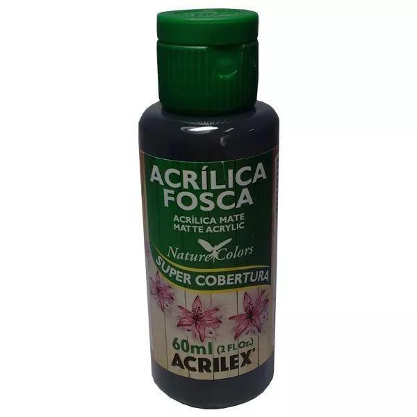 Tinta Acrílica Grafite Fosca Acrilex Artesanato (60 Ml) - Tinta ...