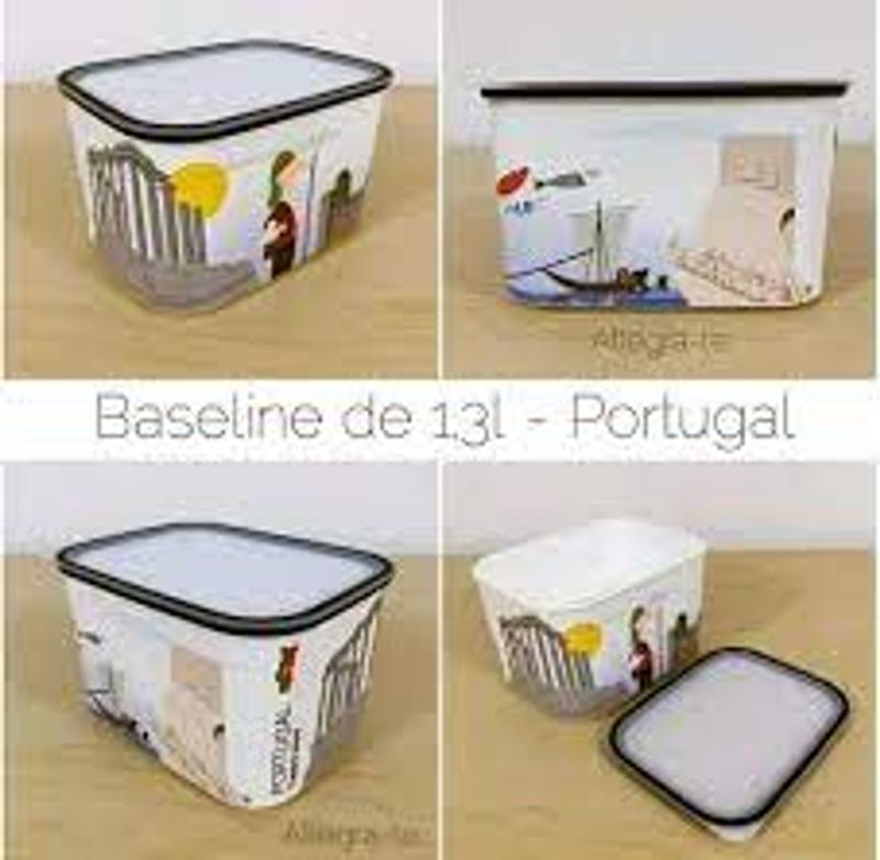 Tupperware Baseline Retangular 1,3 litros Bifresco - Importado - Pote ...