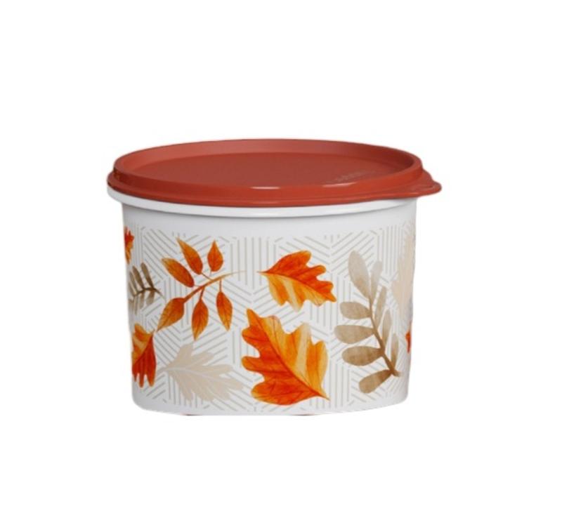 Tupperware Caixa 2,4L - Pote - Magazine Luiza