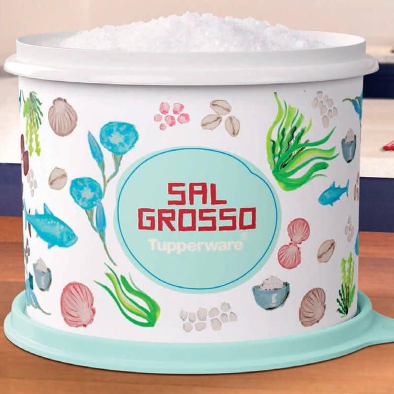 Tupperware caixa sal grosso 1kg - Sal - Magazine Luiza