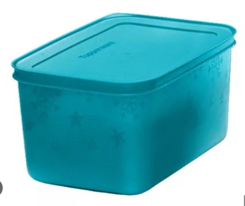 Tupperware Freezer Line 2,5 litros - Caixa Organizadora - Magazine Luiza