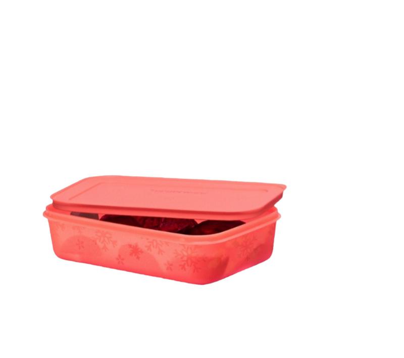 Tupperware Freezer Line Baixo 1L - Pote - Magazine Luiza