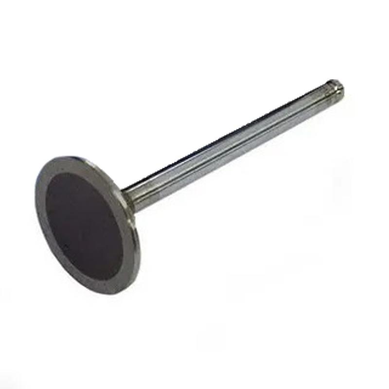 Válvula Admissão Meriva CORSA Joy MONTANA - General Motors (GM ...