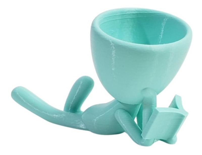 Vaso Decor Leitor Estudante Robert Plant Para Suculentas Verde Água 15 ...