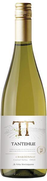 Vinho Branco Chileno Tantehue Chardonnay Ventisquero 750 ml - Vinho ...