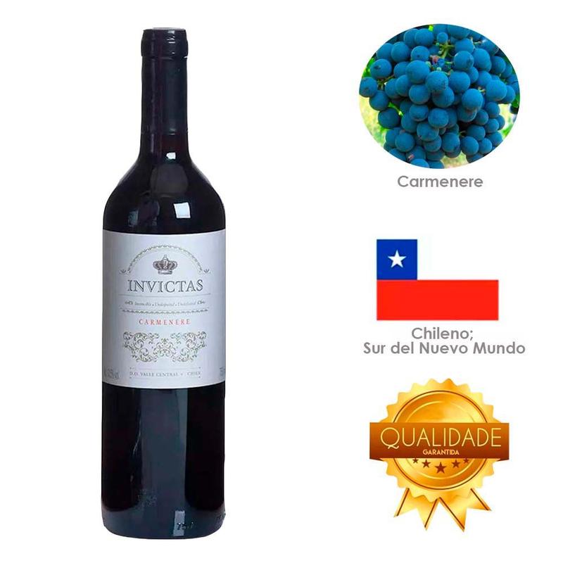 Vinho Chileno Importado Cabernet Sauvignon 2021 Invictas Tinto 750ml - Vinho - Magazine Luiza