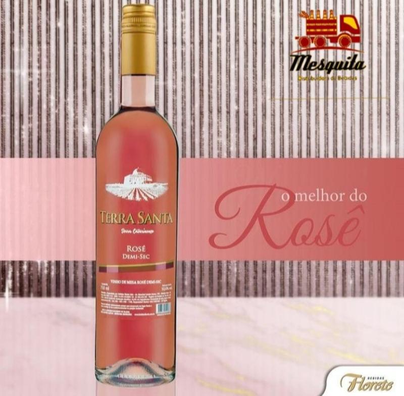 Vinho de Mesa Terra santa Rose Demi-sec 750ml - Terra Santa 750ml ...