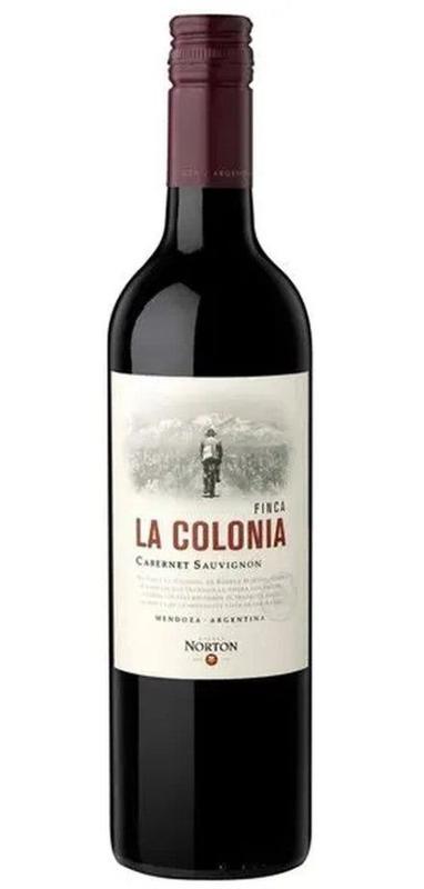 Vinho Norton Finca La Colonia Cabernet Sauvignon 2017 750ml ...