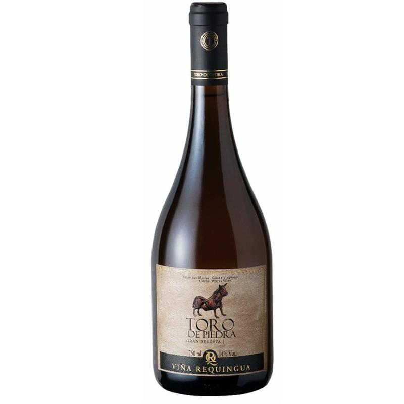 Vinho Toro De Piedra Gran Reserva Sauvignon Blanc 750ml - Vinho ...