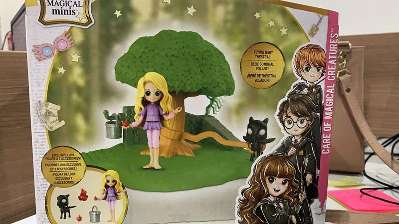 Wizarding World Sala de Aula - Sunny 002624 - Livros de Literatura Infantil - Magazine Luiza